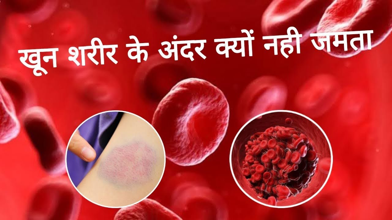 Why blood does not clot inside the body ???? ||OMNIFACT|| - YouTube