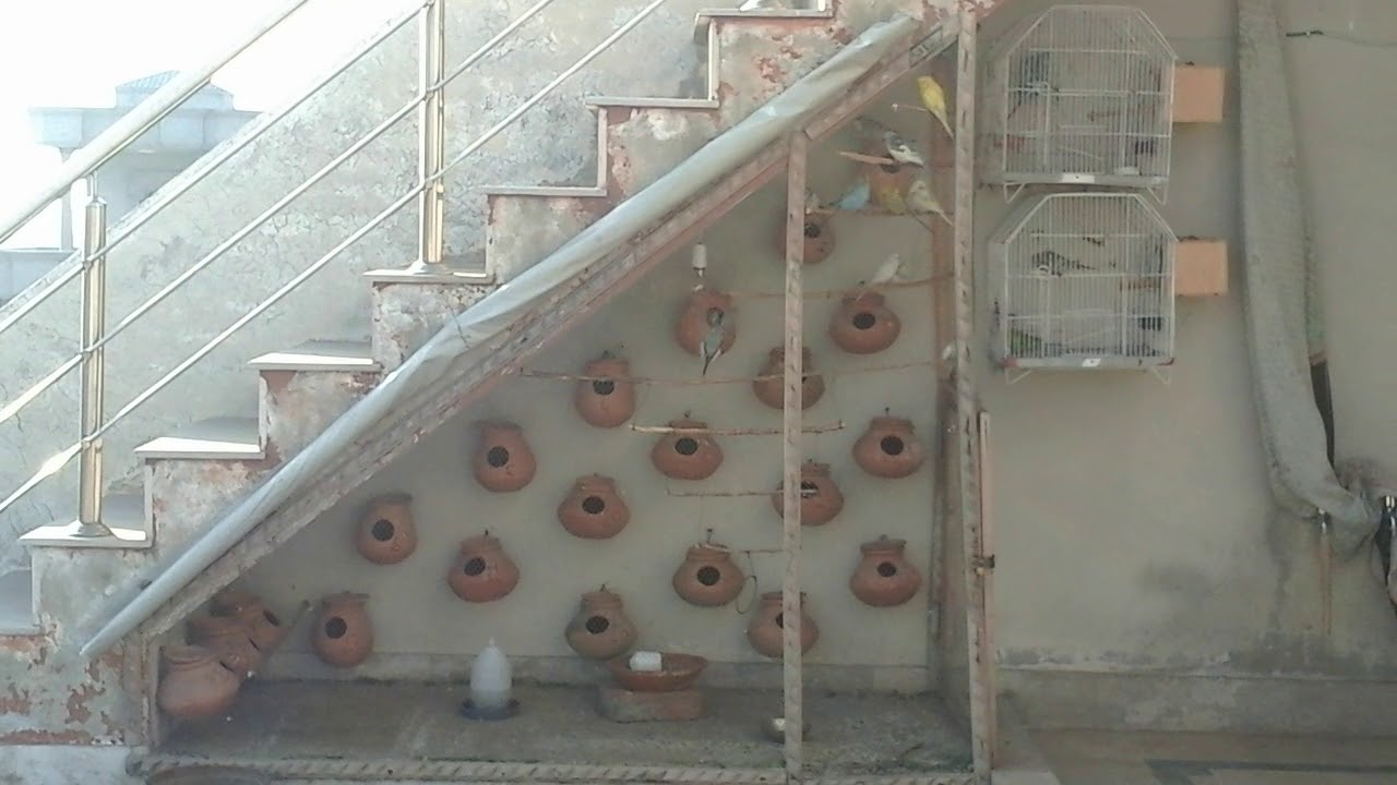 Exhibition box tips - YouTube