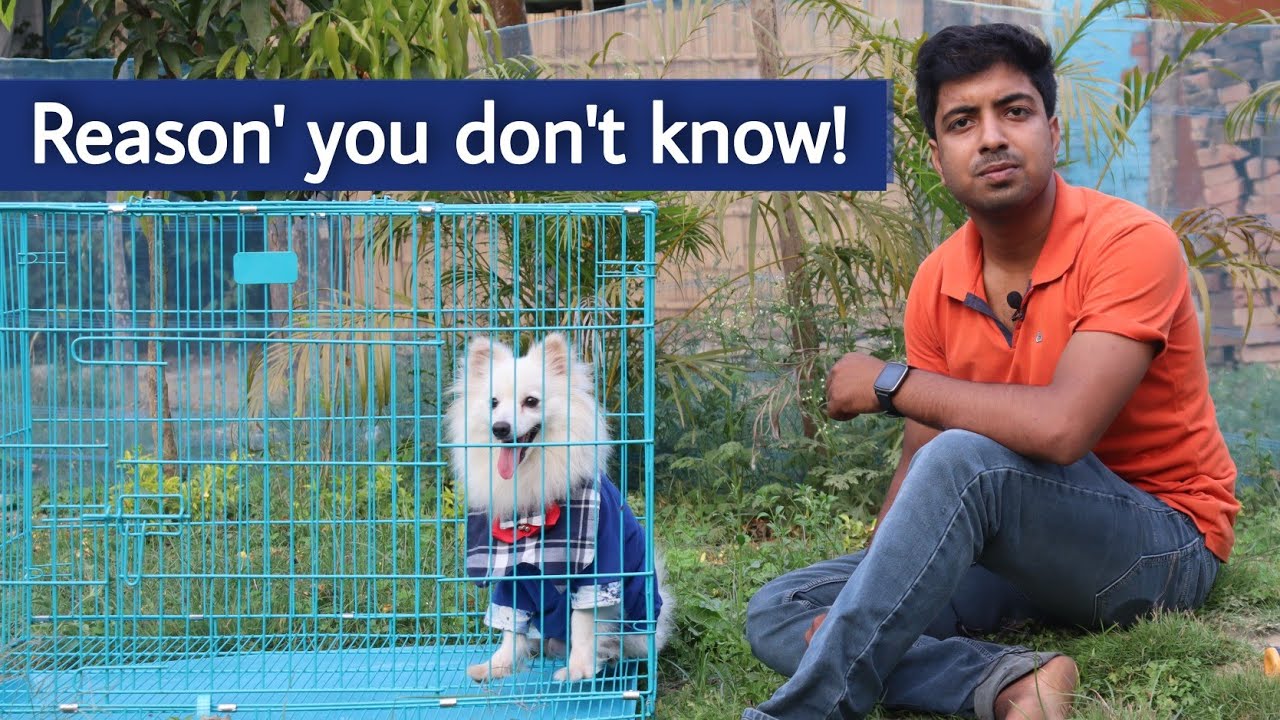 Why this dog Cage is famous in whole world. - YouTube