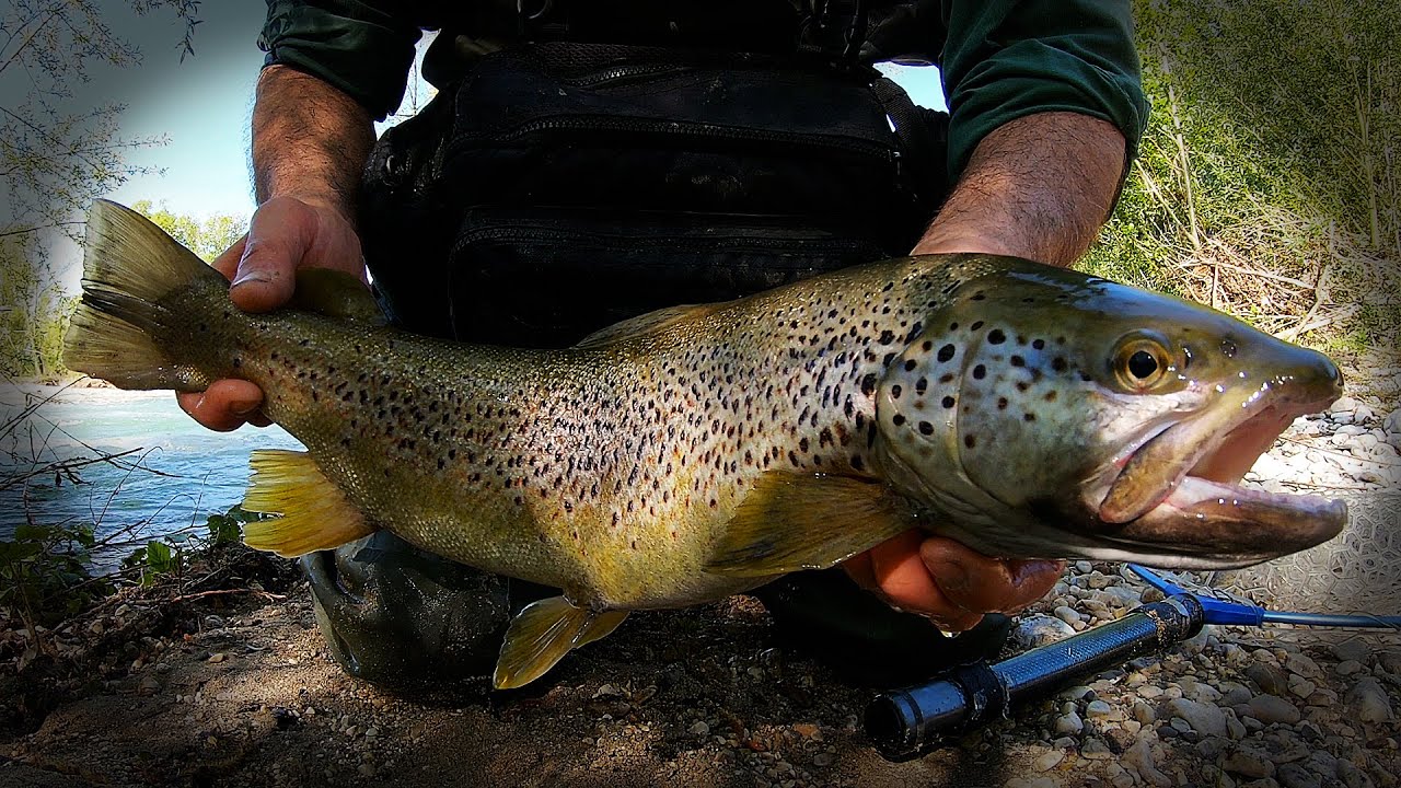 fario.episodio82 - YouTube