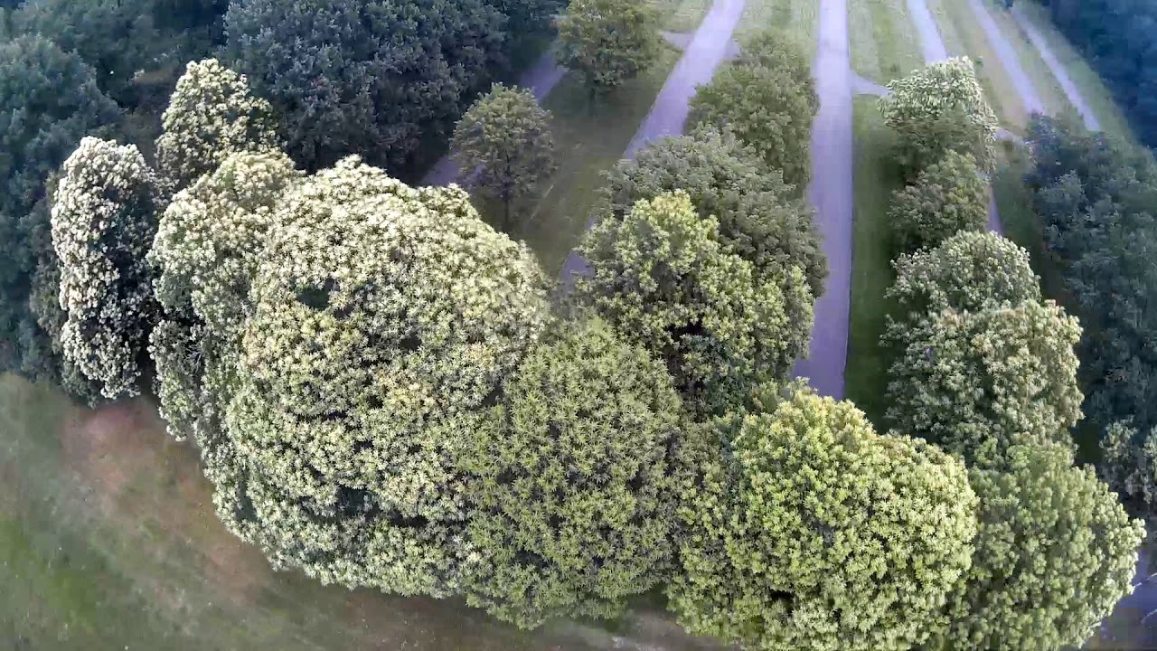 The grass is lava.. - YouTube