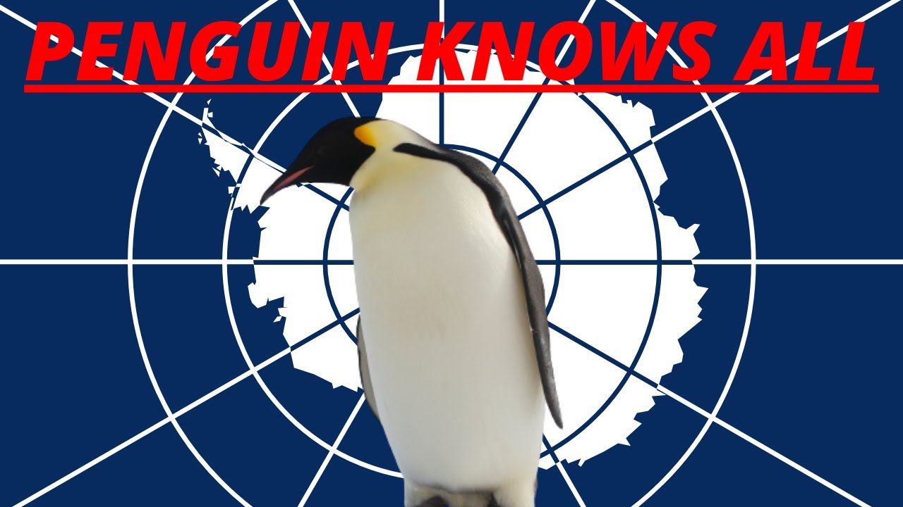 The New Order - Operation "Deep Freeze" - Episode 2 "Penguin Knows All ...