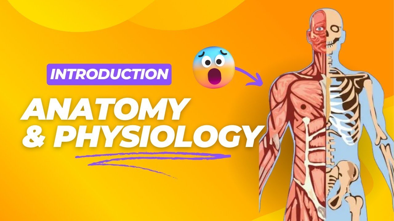 Introduction of Anatomy & Physiology | Part 01 | Cure knowledge | Human ...