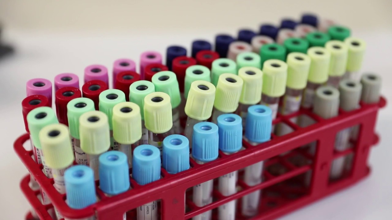 IML Southern Pathology - YouTube