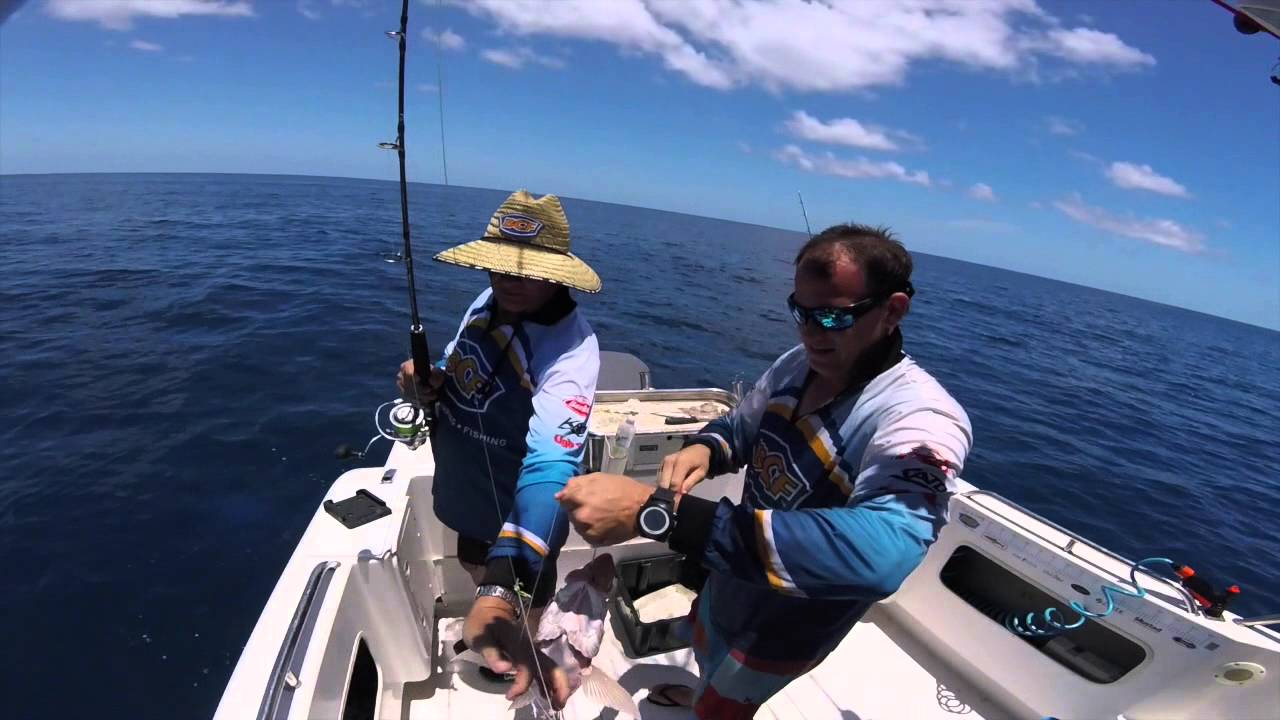Mackay, Prince Reef Fishing - YouTube