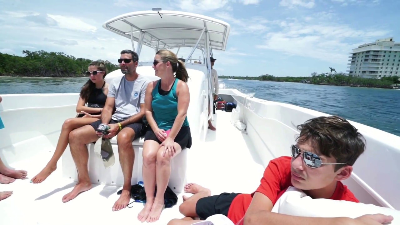 Shark Addicts Diving Trip, Jupiter FL, July 2018 - YouTube