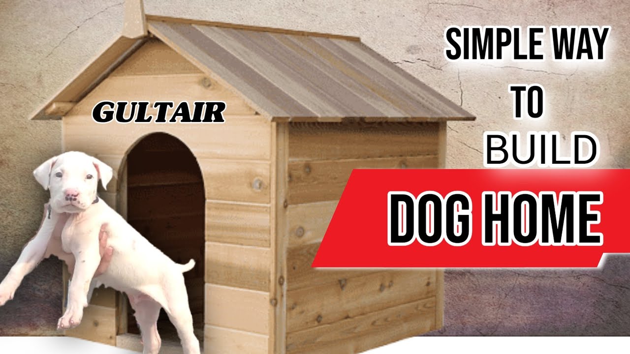 Dog house build easy technique🐕|Gultair dog||Zohaib Ameer - YouTube