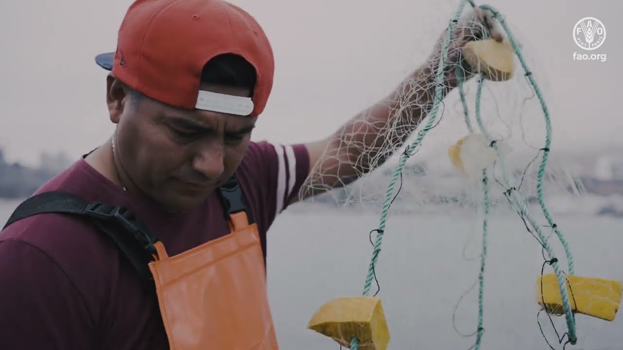 La pesca artesanal en Perú. Año Internacional de la Pesca y la ...