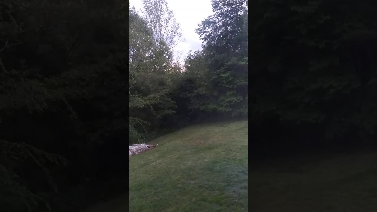 UPDATE ON TN DOGMAN - YouTube