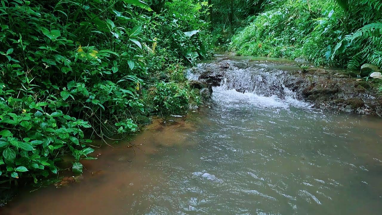- ASMR: Flowing Peace Stream Sounds (Gentle Current & Natural Sounds ...