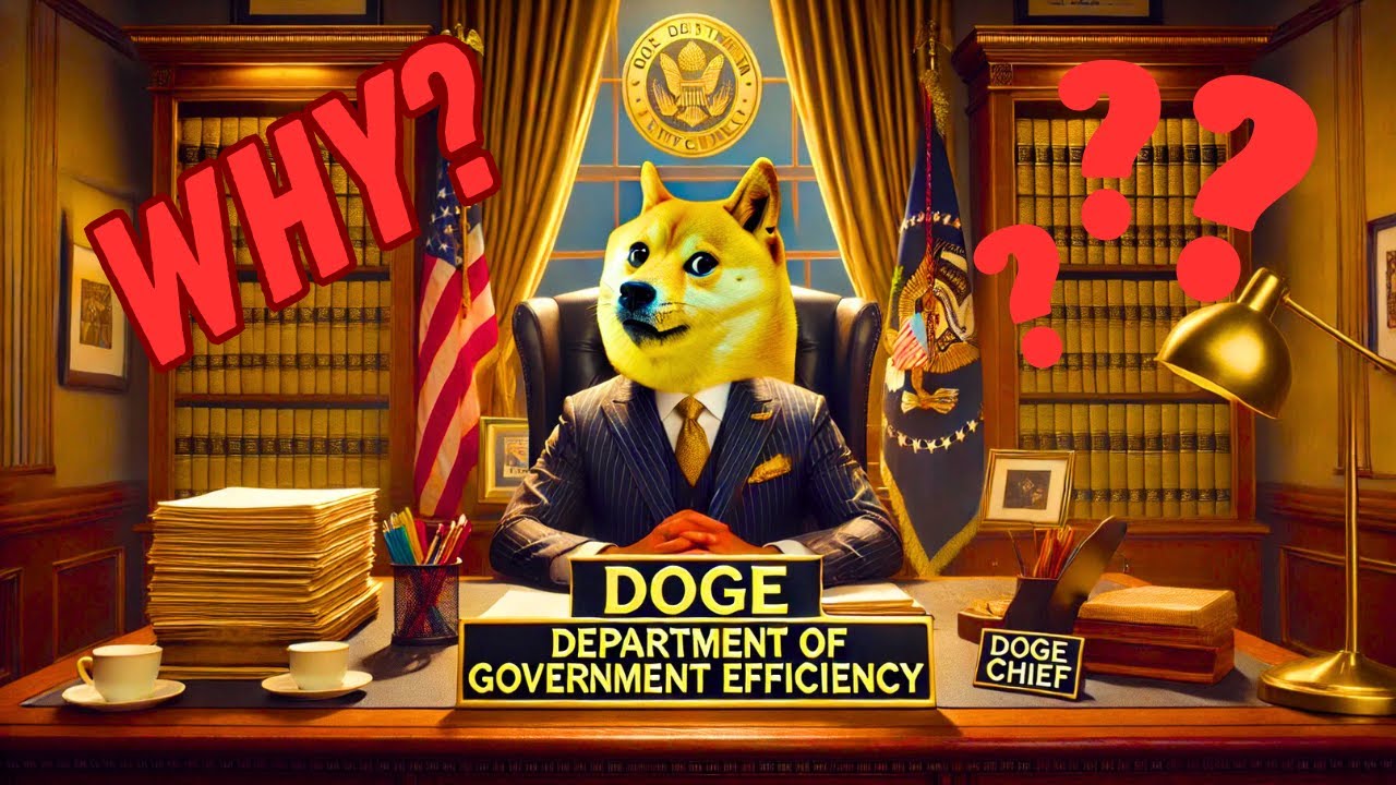 The Surprising Truth About the DOGE: Why It Exists? - YouTube