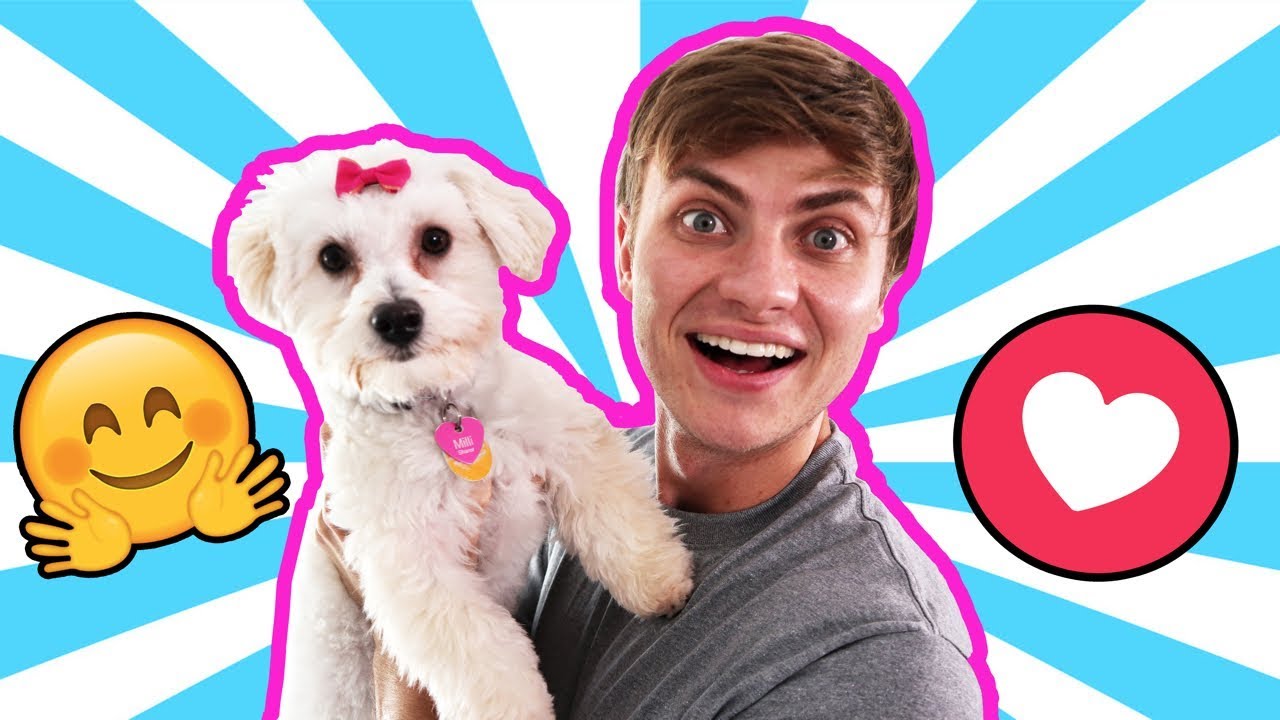 CARTER SHARER AND MILLI SHARER | CUTEST MOMENTS!! - YouTube
