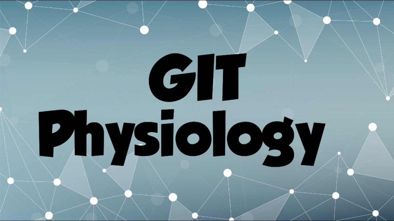 Lecture 19 - GIT Physiology - YouTube