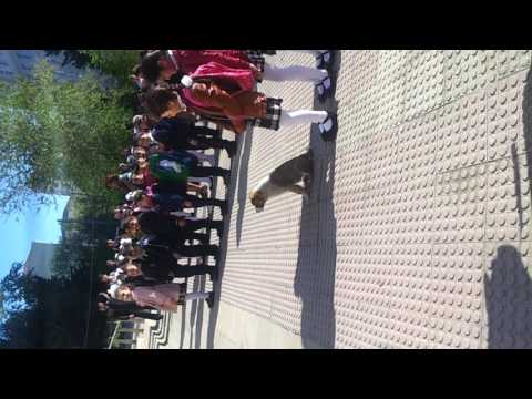 1cilerle himn oxuyan it