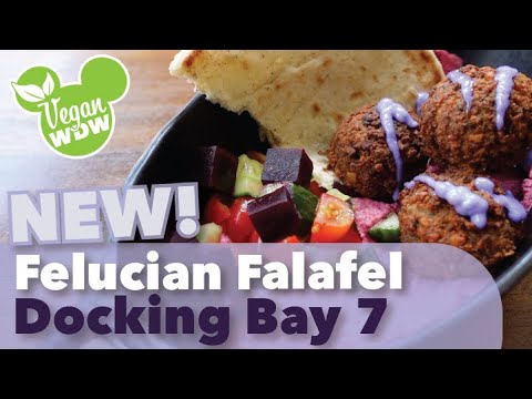 NEW Felucian Falafel from Docking Bay 7 at Hollywood Studios 💫 - YouTube