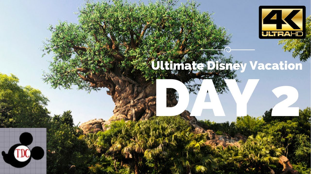 WDW Day 2 Overview | Animal Kingdom - YouTube