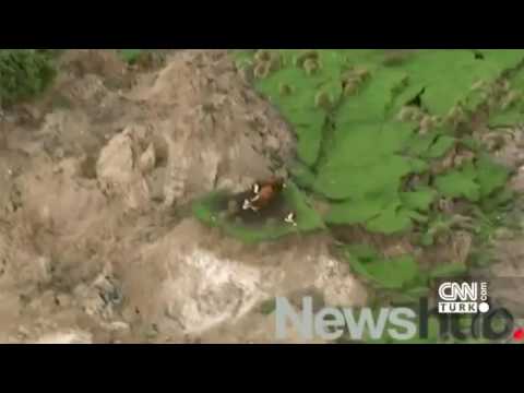 Yeni Zelanda'daki 7.8'lik depremin ardından görüntüler