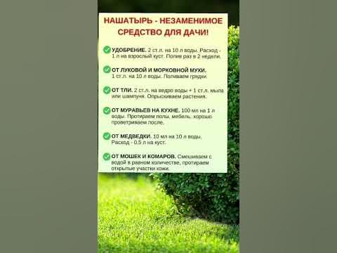 #полезныесоветы #садовод #огород #огородкруглыйгод #растения #реки # ...