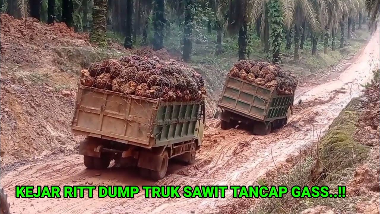 Truck Sawit 01(jalan terkutuk) - YouTube