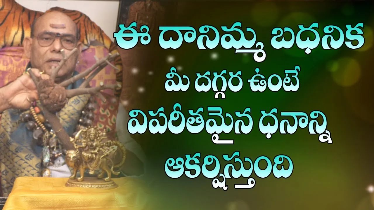 ఈ దానిమ్మ బధనిక విపరీతమైన ధనాన్ని ఆకర్షిస్తుంది | Dhanimma Baanika ...