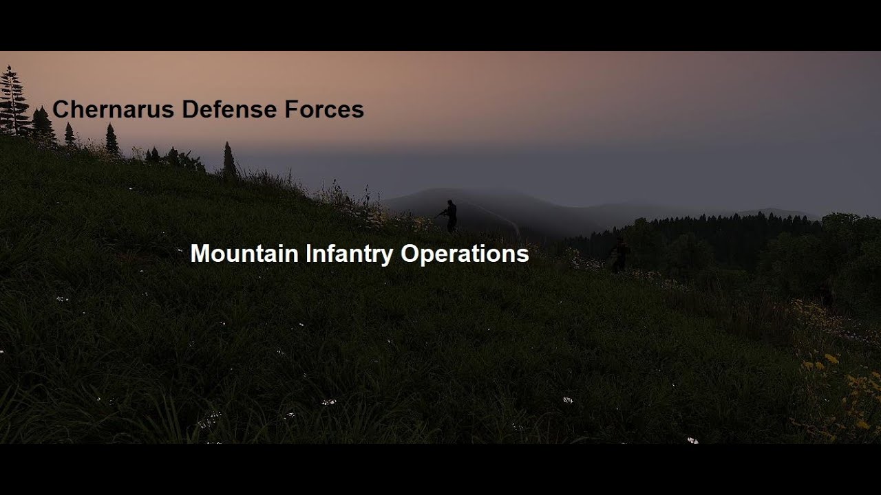 Initial Assault on a Town: Chernarus Defense Forces Offensive Combat ...