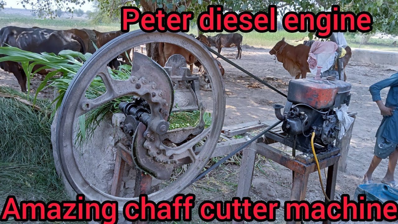 Amazing peter diesel with Chaff cutter machine working || Culture ...