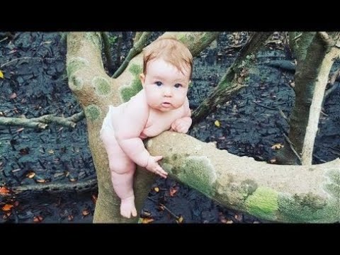 Funniest Babies Make Naughty Actions-Naughty Babies Making Trouble ...