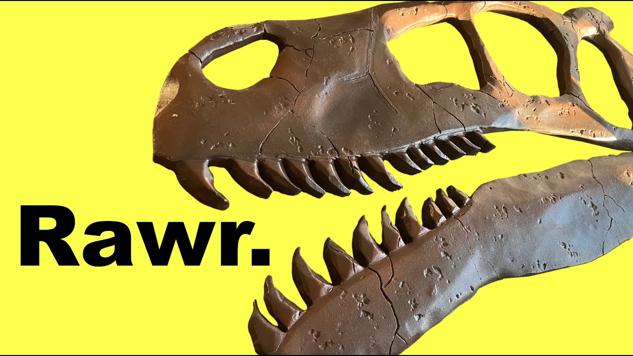 Build a life sized Utahraptor dinosaur skull fossil from styrofoam ...