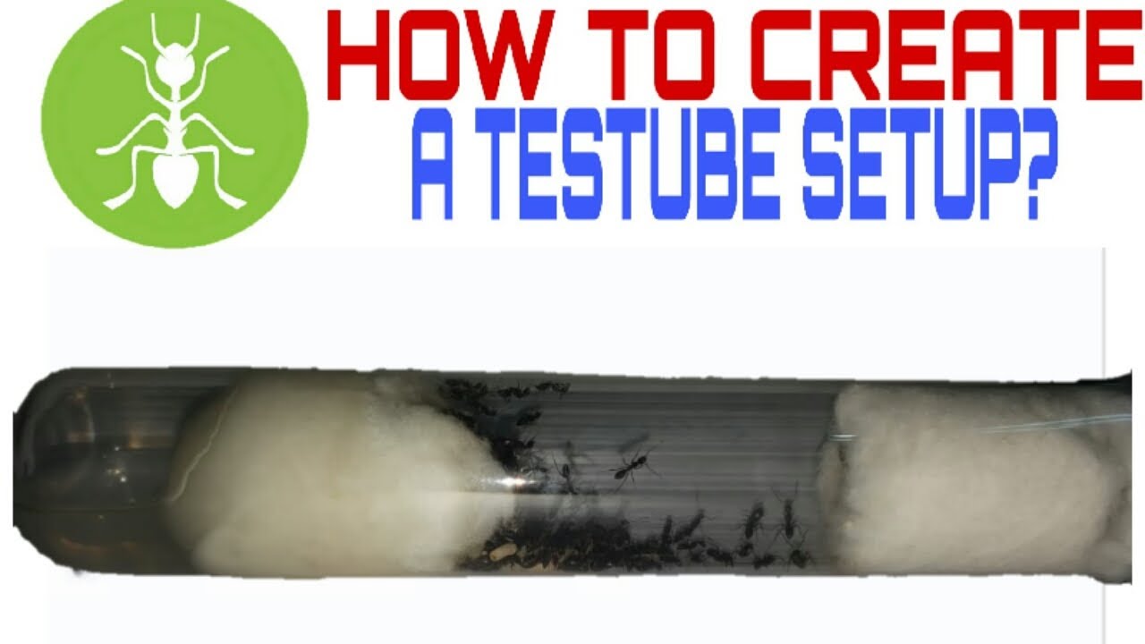 How to create a TEST-TUBE setup- Part #2 - YouTube