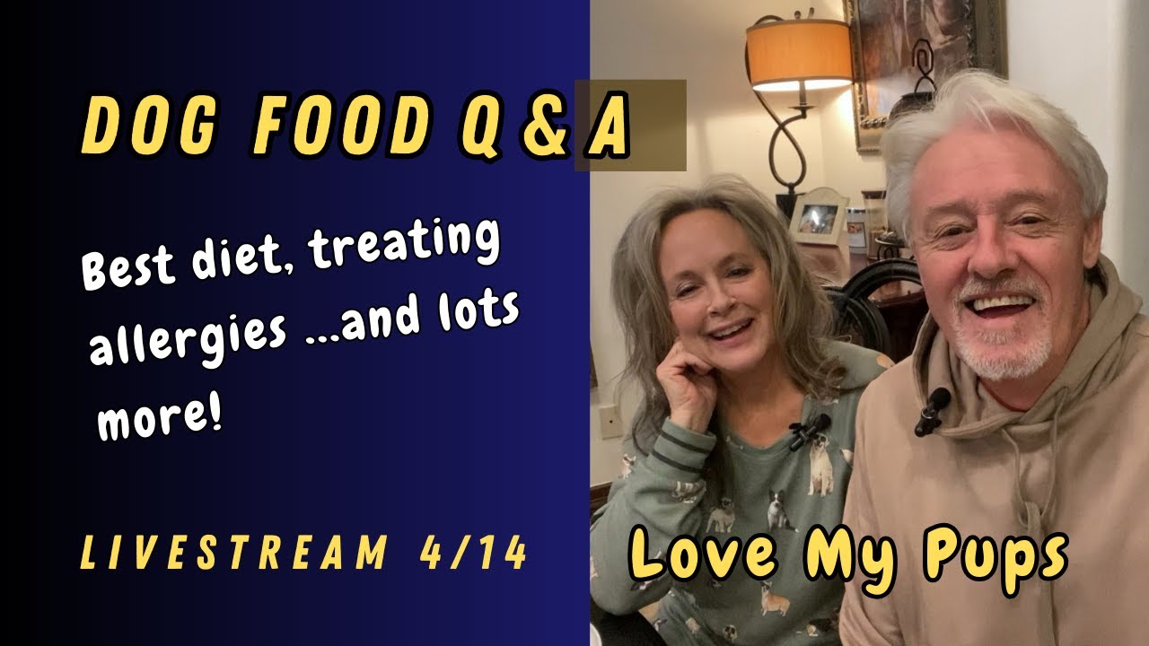 Love My Pups is live! - YouTube