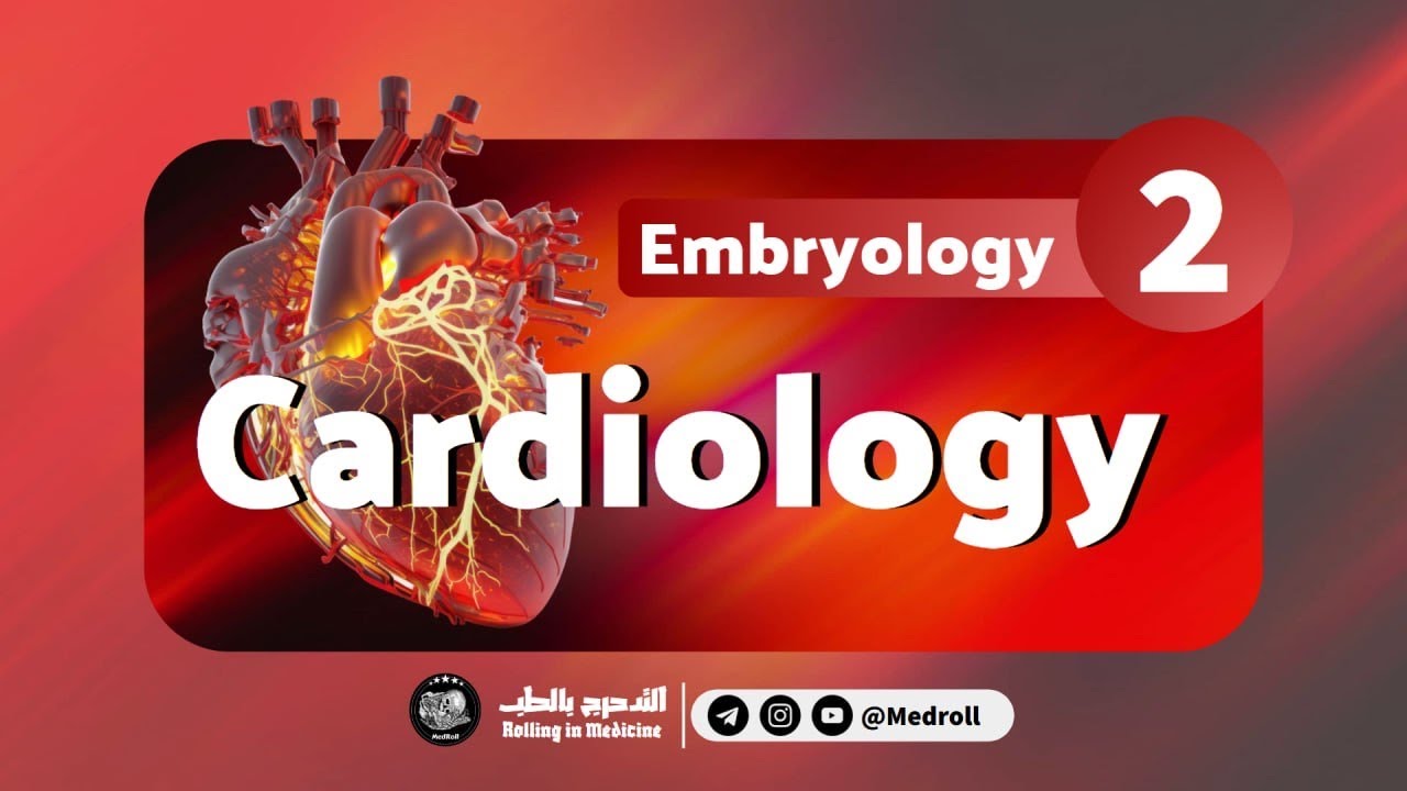 Cardiology | Cardiac Embryology 02: Understanding the Truncus ...