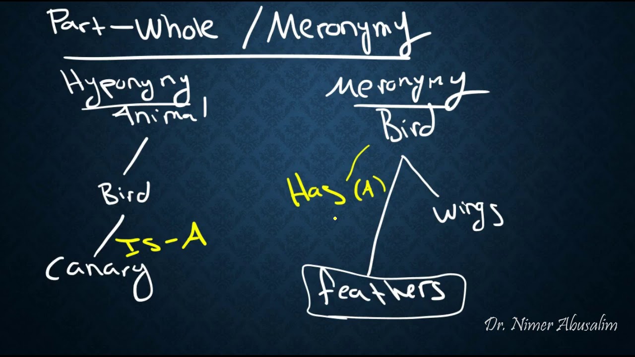 SEMANTICS-19: Sense Relations (Meronymy & Member-Collections) - YouTube
