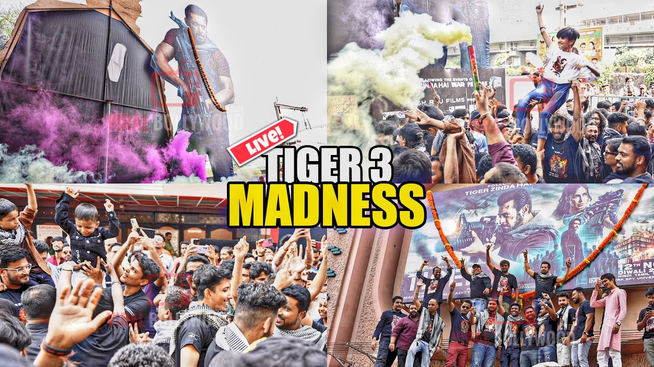 Tiger 3 CRAZY Celebration outside Gaiety Galaxy Bandra | MADNESS with ...