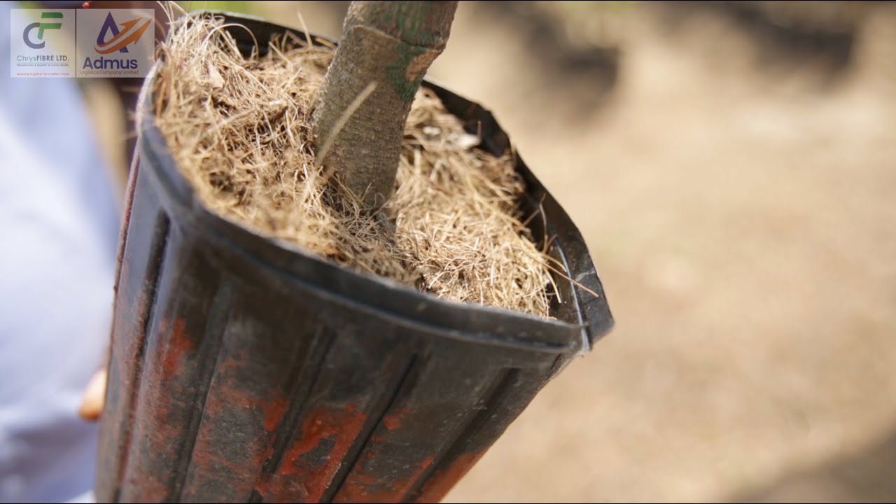 MIRACLE GRO POTTING MIX from GHANA - YouTube