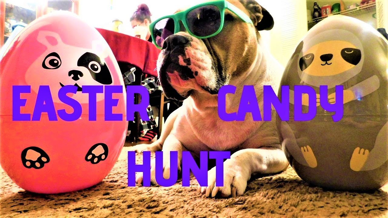 EASTER CANDY HUNT FROM HOME EASTER 2020 YouTube easter-candy-hunt-from-home-easter-2020-youtube