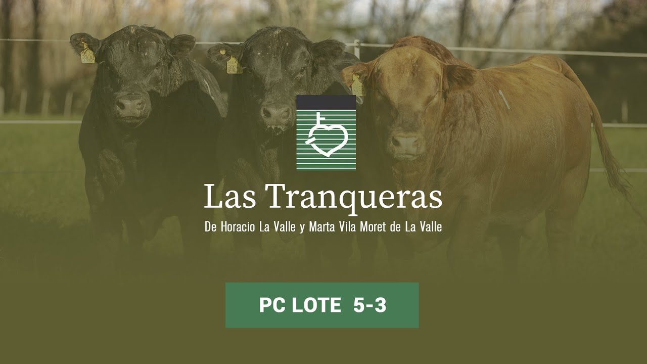 Las Tranqueras PR y PC, Lote 5 3 - YouTube
