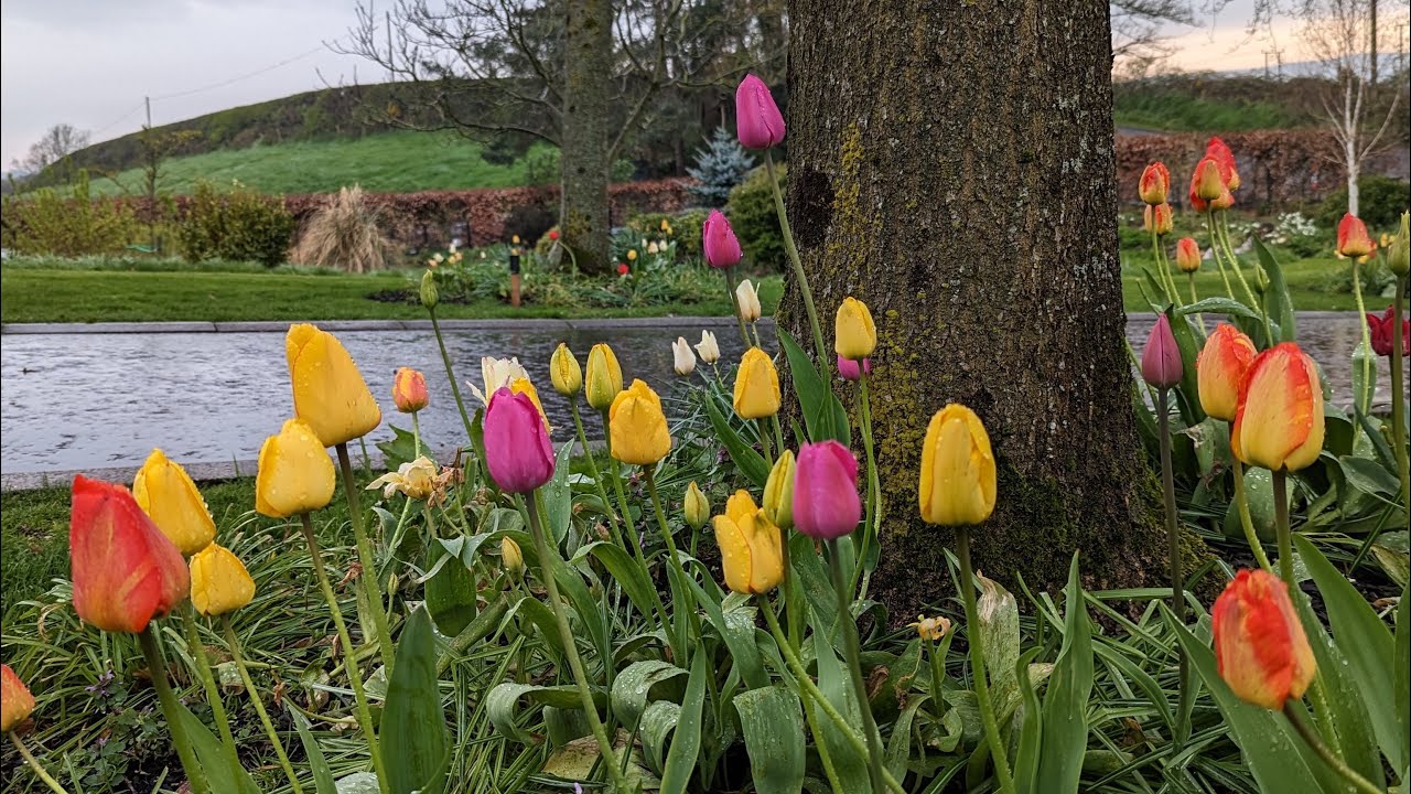 Frost pockets - what are they? Understanding your garden’s ...