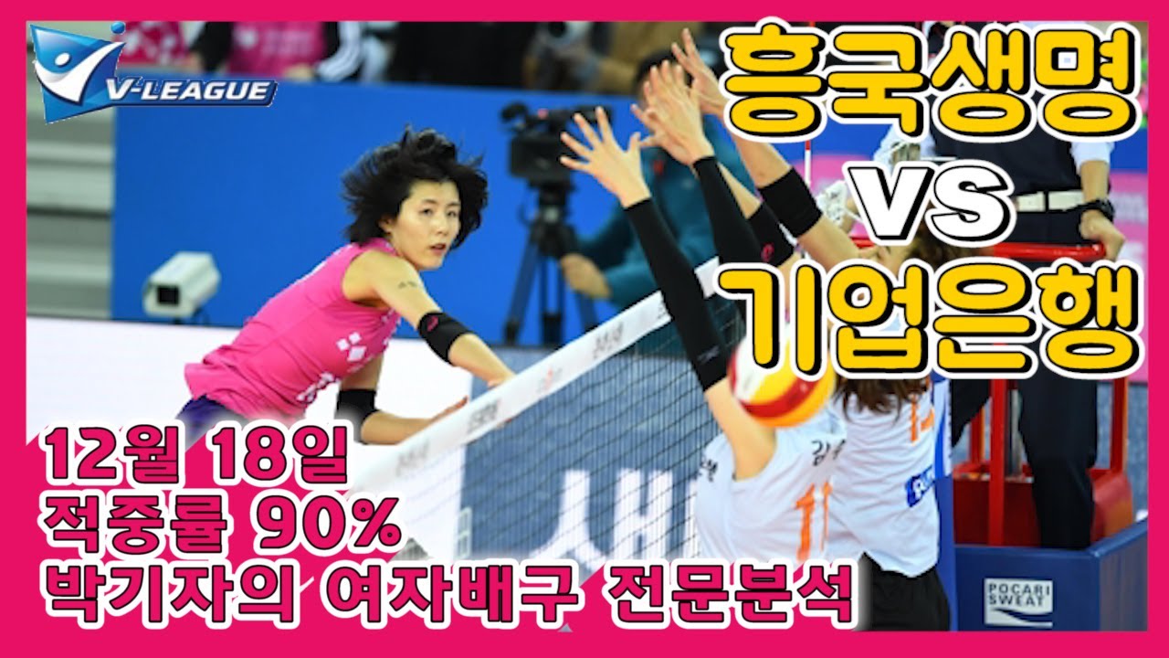 스포츠분석 여자배구분석 V 리그 Kovo 스포츠토토 12월18일 여자프로배구 집중분석 및 픽 공유 토토 스포츠분석 프로토 배트맨토토분석 Youtube