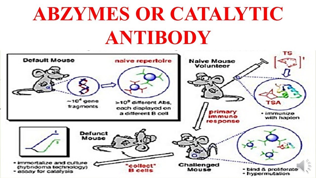 ABZYMES - YouTube