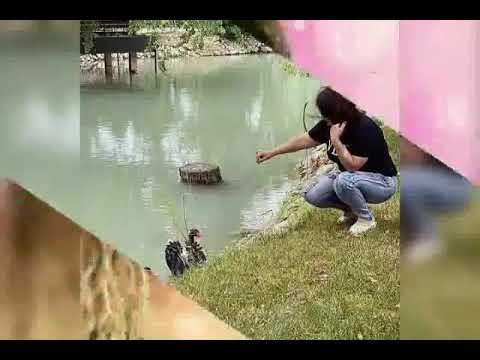 Mənim aşkım birdənədir birdənə