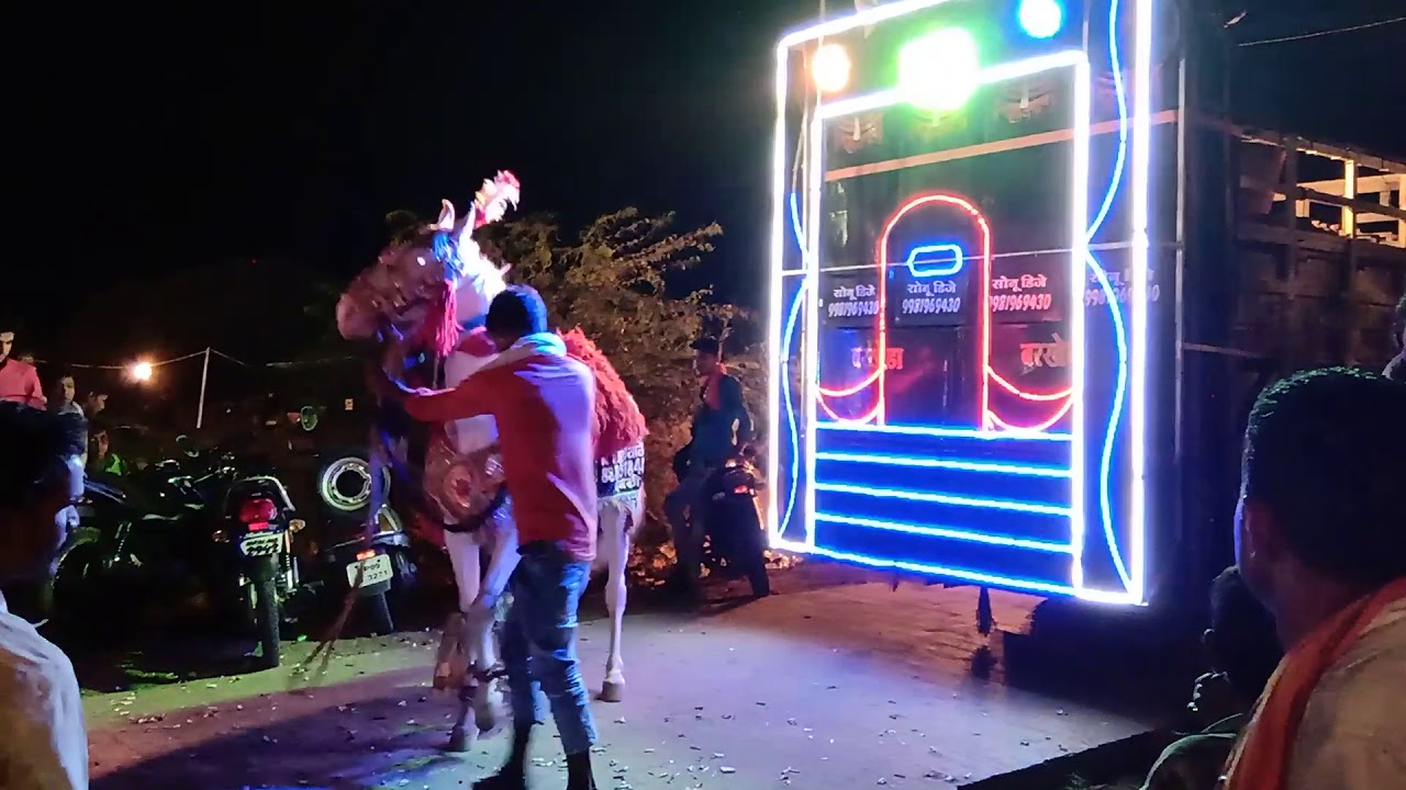 Matki dhol dance || ghodi || animal dance || 9981969430 - YouTube