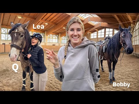 lustiges TRAINING mit unseren JUNGPFERDEN ( und plötzlich passiert ein STURZ😭😨)