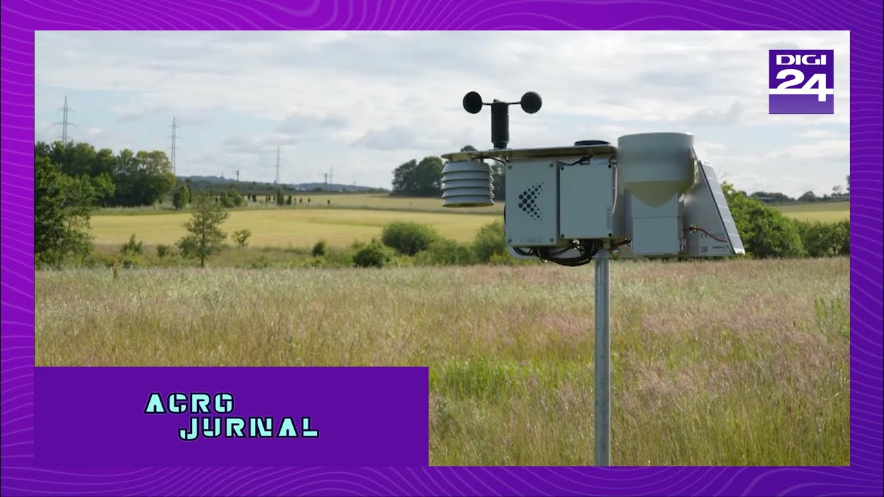 @cordulus inteligența artificială interpretează datele meteo #digi24 ...