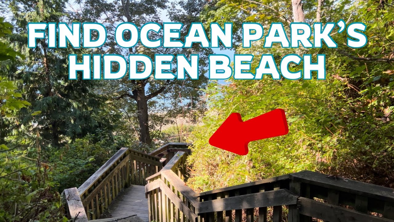 The Hidden Beach That Can Only Be Reached By Foot: Ocean Park’s 1001 ...