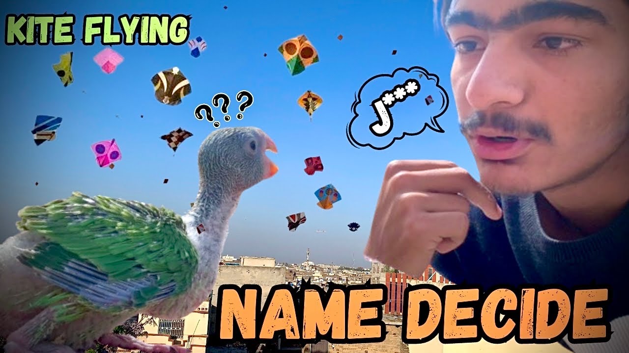 Kite flying ai pooo****😂| baby parrot🦜 ka name rakh Lia 🥰| animal ...