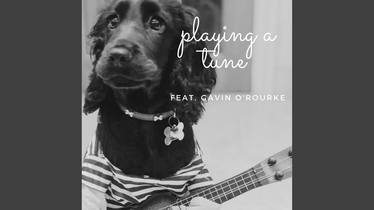 Playing a Tune (feat. Gavin O'Rourke) - YouTube