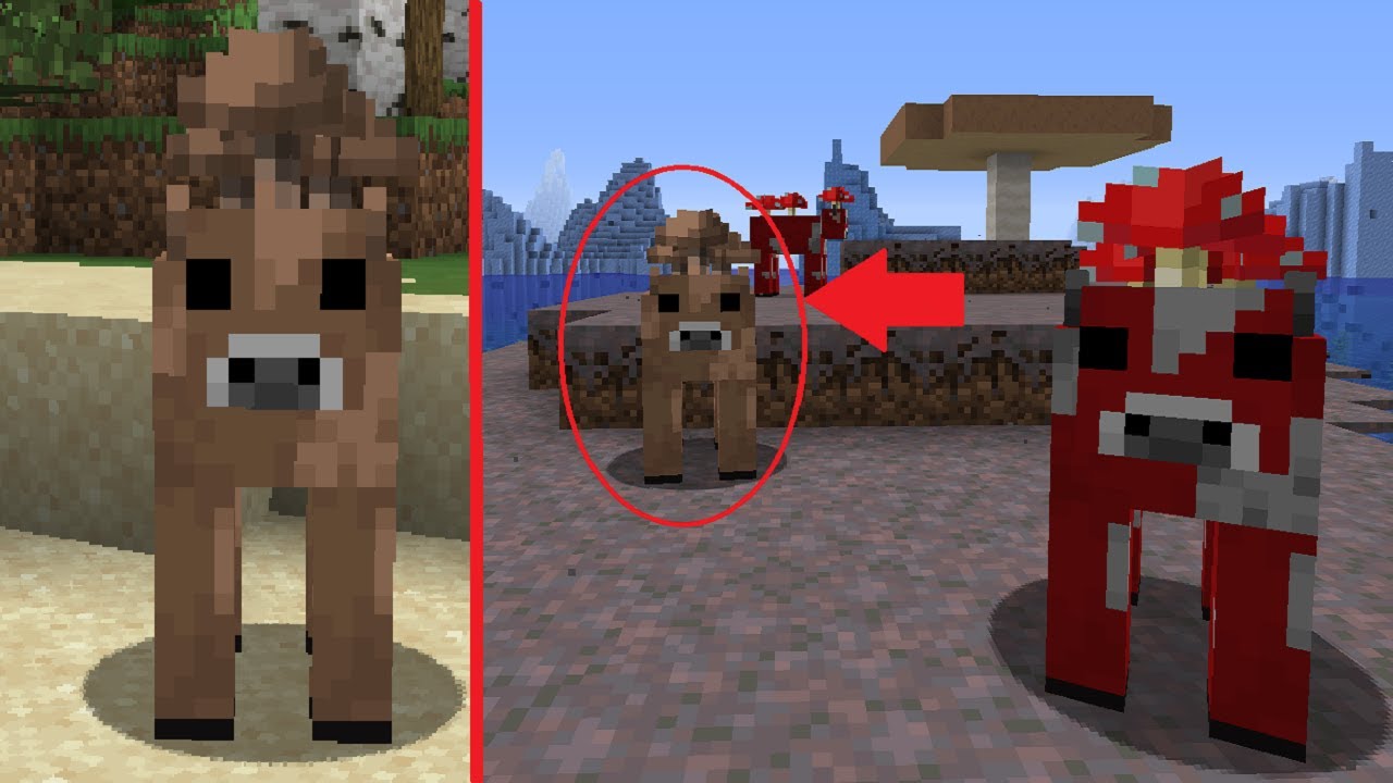 RAREST COW IN MINECRAFT - YouTube