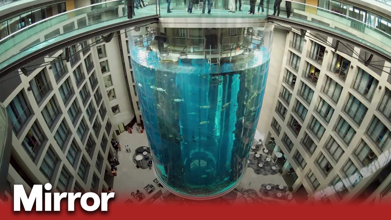 Huge aquarium tank bursts in Berlin - YouTube