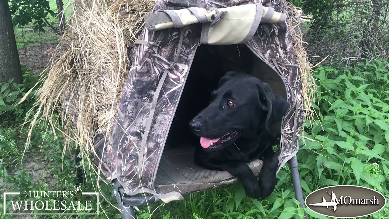 MOmarsh Invisilab Blind Review - YouTube