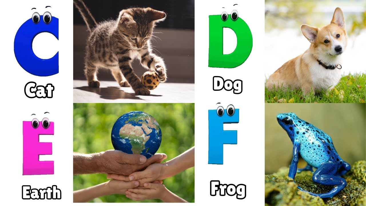 ABC Alphabet Songs For Kids | A For Avocado | ABC Song | ABC Phonics ...